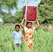 The Coolest Little Refrigerator For Rural India | IBEF