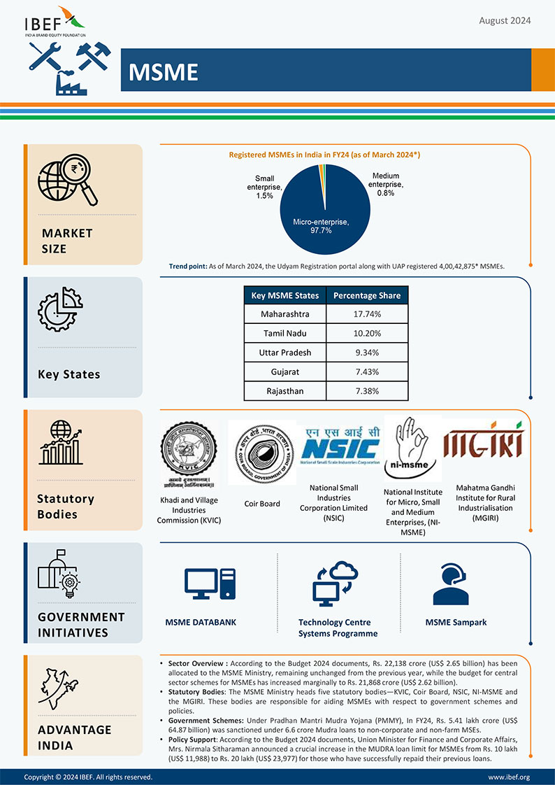 MSME Industry - Infographic