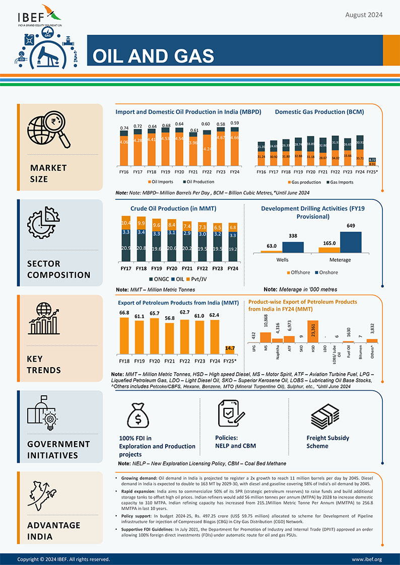 Growth of Oil and Gas Industry - Infographic