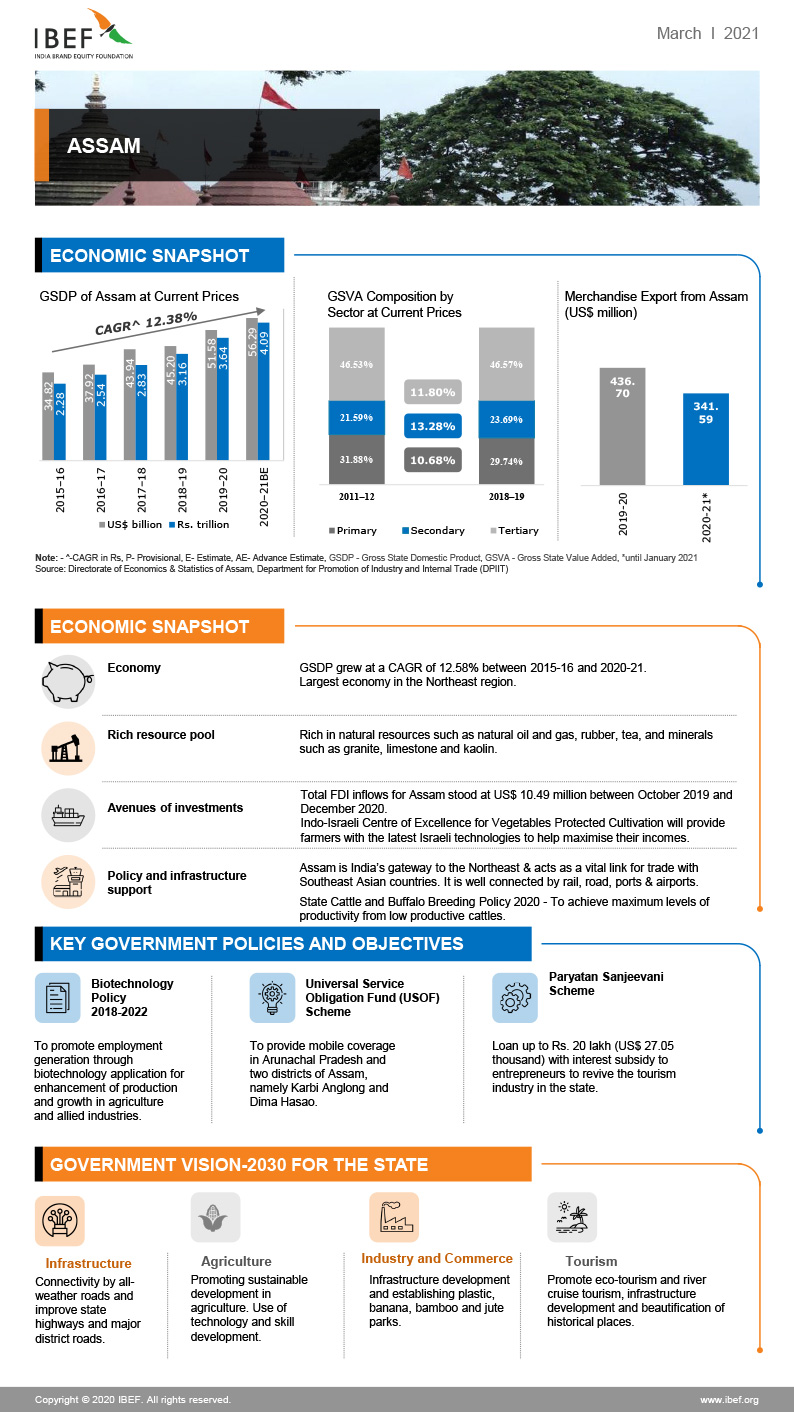 Industrial Development & Economic Growth In Assam Infographics | IBEF