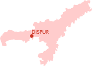 Industrial Development & Economic Growth In Assam Infographics | IBEF